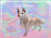 Second Life Marketplace - .:Holo Hooves:. TWI Mod - Cream Husky