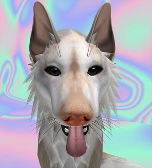 Second Life Marketplace - .:Holo Hooves:. TWI Mod - Cream Husky