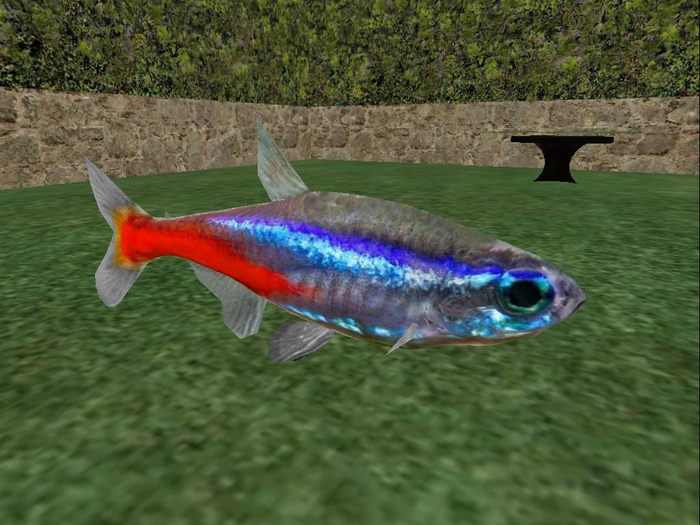 Second Life Marketplace - fish neon tetra DEMO