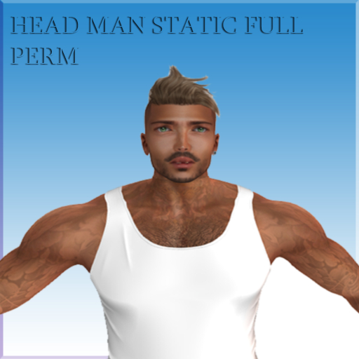 Second Life Marketplace - :::::::MALE HEAD BAKE ON MESH