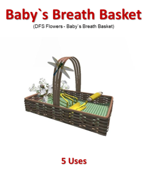 Second Life Marketplace - DFS Flowers - Baby`s Breath Basket (Texture)