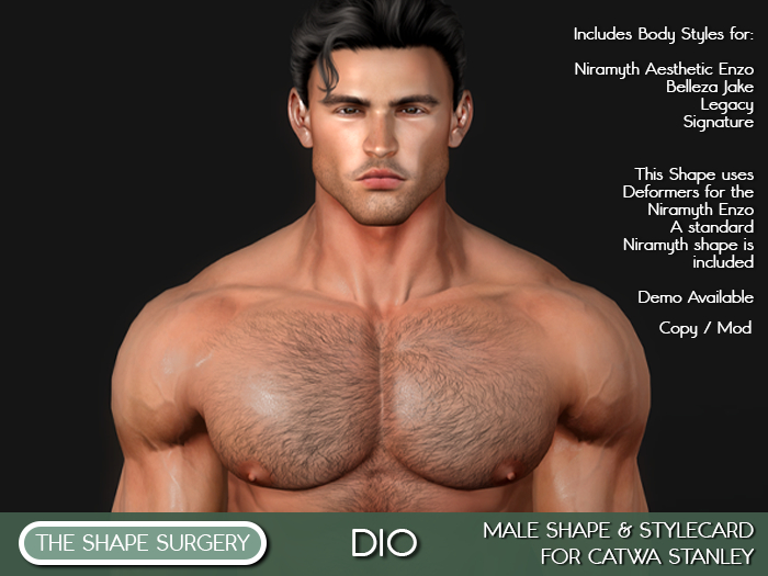 Second Life Marketplace - DIO Male Shape (Catwa Stanley) [ The Shape ...