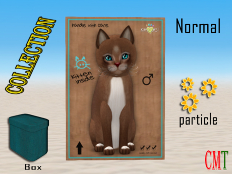 Second Life Marketplace - KittyCatS Box - New Born Kitten RainDearS! 2 ...