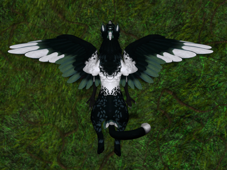 Second Life Marketplace - TNT: Soaring Magpie for Bird-E-Mart Griffin