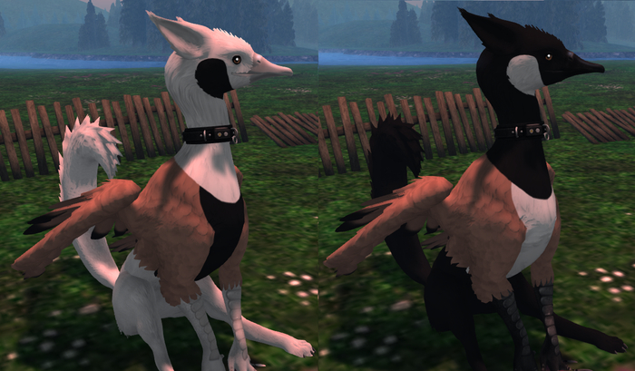 Second Life Marketplace - GC - BRDMRT Griffin Canadian Goose Geese ...