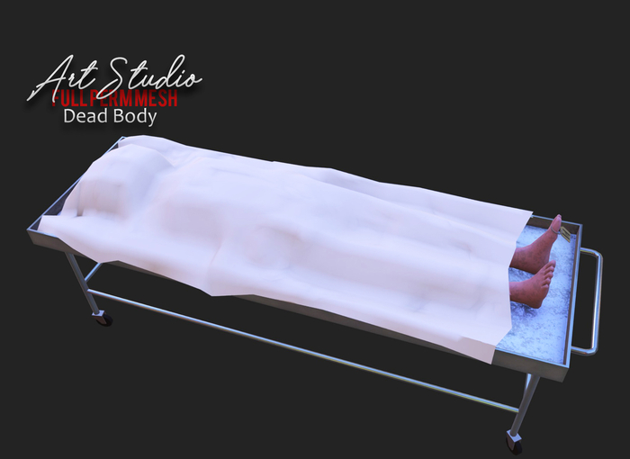 Second Life Marketplace - Art Studio.FULL PERM \\ Dead Body