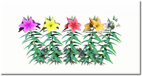 Second Life Marketplace - Mesh Lilium Flower Set by Felix 1Li=4 Shape=5 ...