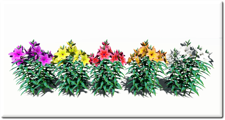 Second Life Marketplace - Mesh Lilium Flower Set by Felix 1Li=4 Shape=5 ...