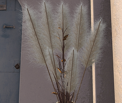 Second Life Marketplace - CJ Pampas Grass Sparsely Leafed Shrub in ...