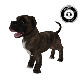 Second Life Marketplace - Boxer Bedlam 5. Good Boi Companion (BOXED)