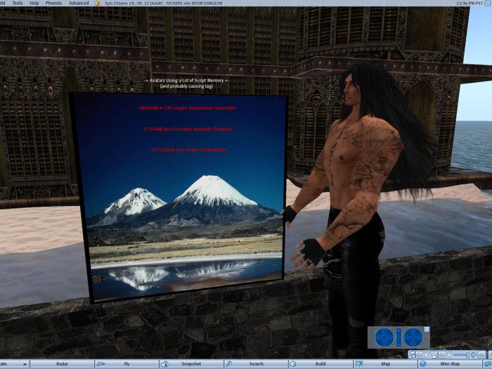 Second Life Marketplace - Avatar Lag Scanner w/ Texture Changer