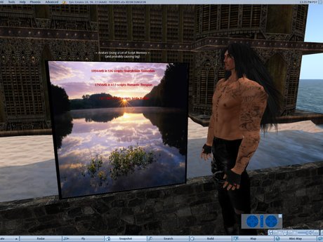 Second Life Marketplace - Avatar Lag Scanner w/ Texture Changer