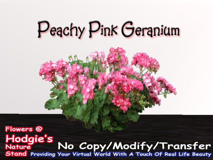 Second Life Marketplace - Geranium Peachy Pink (One Prim Sculpty Plant)