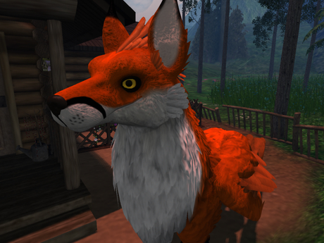 Second Life Marketplace - NM's Junk & Stuff Red Fox Griff (Boxed)
