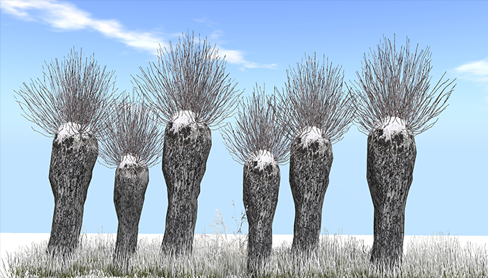 Second Life Marketplace - ad Garden - Winter snow pruned willow tree patch
