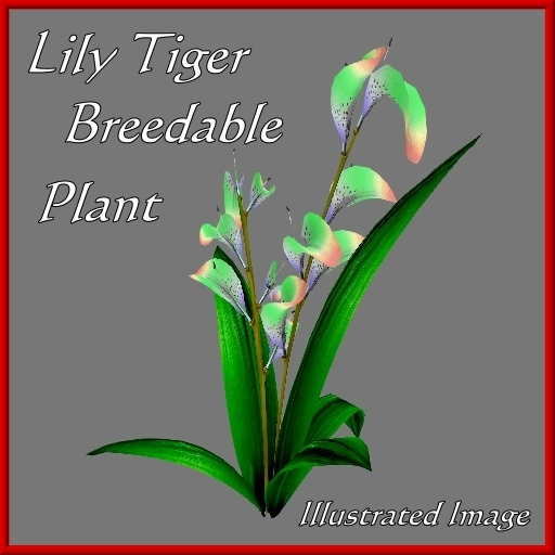 Second Life Marketplace - Tiger Lily {Papillon} De/Med/Nor/Lil/+ Plant