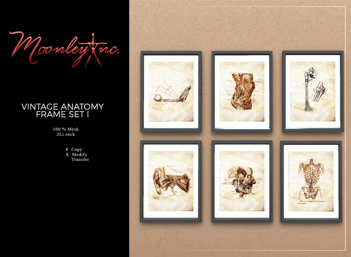 Second Life Marketplace - Moonley Inc. - Vintage Anatomy Frame Set I