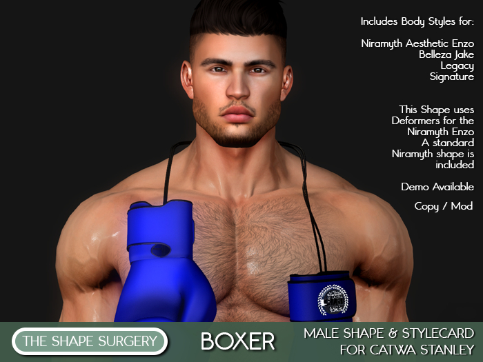 Second Life Marketplace - BOXER Male Shape (Catwa Stanley) [ The Shape ...