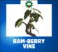 Second Life Marketplace - DFS RAM-BERRY VINE (texture)