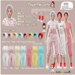Second Life Marketplace - CrayonPop - Cloths Set - Check Red