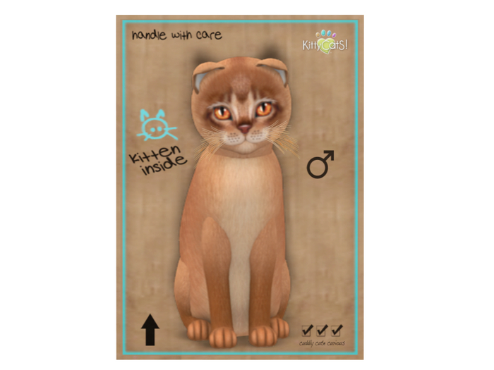 Second Life Marketplace - KittyCatS Box - 9 T - M - Abyssinian - Cinnamon