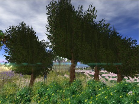 Second Life Marketplace - box trees v16 ad 4 trees 1 prim