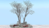 Second Life Marketplace - Jad Garden - Winter snow tree group berries ...