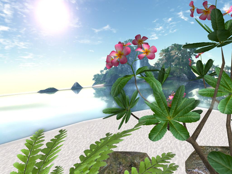 Second Life Marketplace - RW - Tropical Frangipani Fern Rock Garden ...
