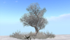 Second Life Marketplace - Jad Garden - Winter snow tree old with ...