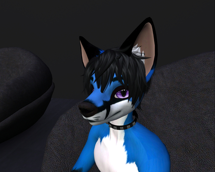 Second Life Marketplace - .:GalaxyFox:. Kuroo Fox - Royal Cyan