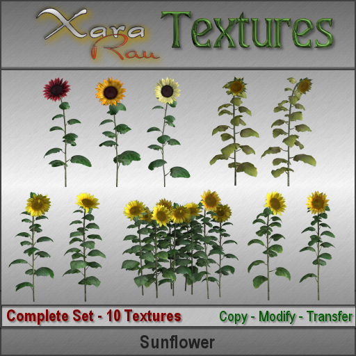 Second Life Marketplace - XR Textures - Flowers - Sunflower by Xara Rau