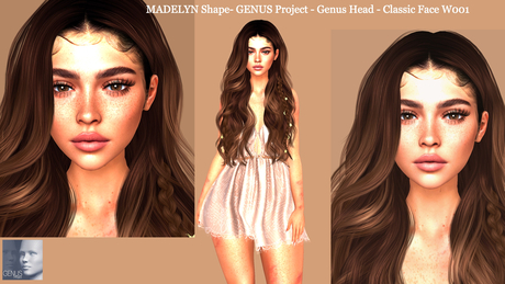 Second Life Marketplace - MADELYN Shape- GENUS Project - Genus Head ...