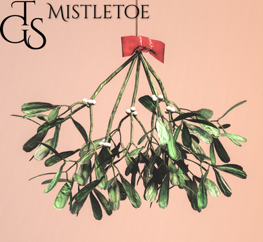 Second Life Marketplace - {GS} Mistletoe - REAL MESH MISTLETOE