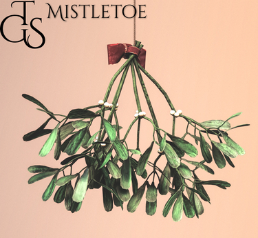 Second Life Marketplace - {GS} Mistletoe - REAL MESH MISTLETOE