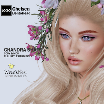 Second Life Marketplace - { wren's nest } Chandra shape for Logo Chelsea