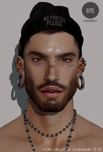 Second Life Marketplace - BW SHAPES - HARRY (for Lelutka Connor 2.5)