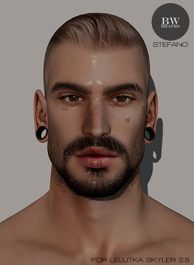 Second Life Marketplace - BW SHAPES - STEFANO (for Lelutka Skyler 2.5)