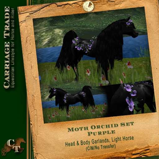 Second Life Marketplace - @CT@ Moth Orchid Set Purple