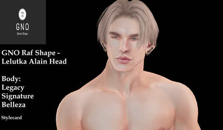 Second Life Marketplace - GNO Raf Shape - Lelutka Alain Head 2.5 - 3.1