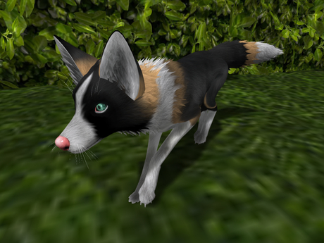 Second Life Marketplace - TWI Cross White Mark Fox Mod