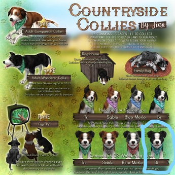 Second Life Marketplace - JIAN Countryside Collies :: Companion Pup Bi BOX