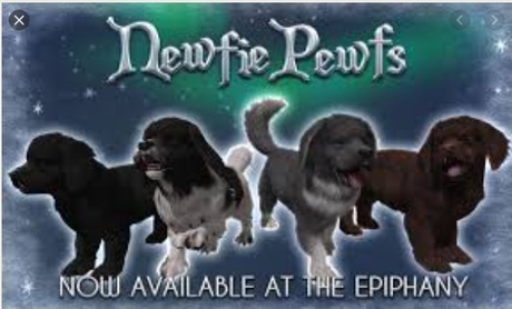 Second Life Marketplace - JIAN Newfie Pewfs 6. Chocolate Companion BOX