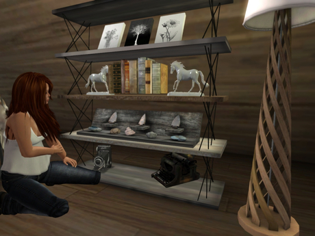 Second Life Marketplace - Collector's Shelf w/ Menu Chair full of props ...