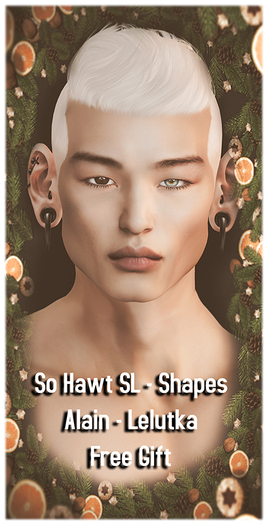 Second Life Marketplace - So Hawt SL - Shapes - Alain ( Lelutka)Gift