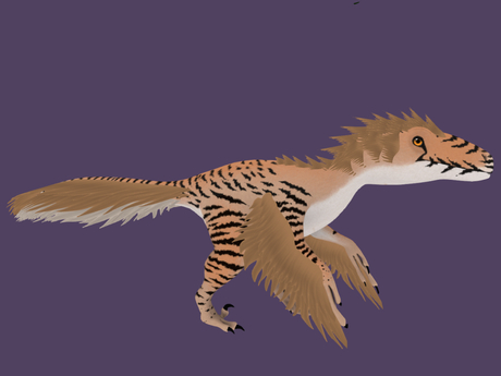 Second Life Marketplace - +CAF+ Utahraptor (BETA)