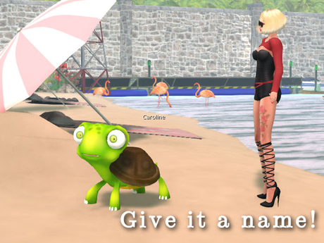 Second Life Marketplace - [RBR] Animesh Pet Turtle