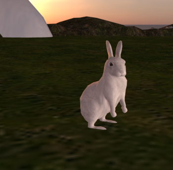 Second Life Marketplace - Animated Rabbit (Snow Rabbit)