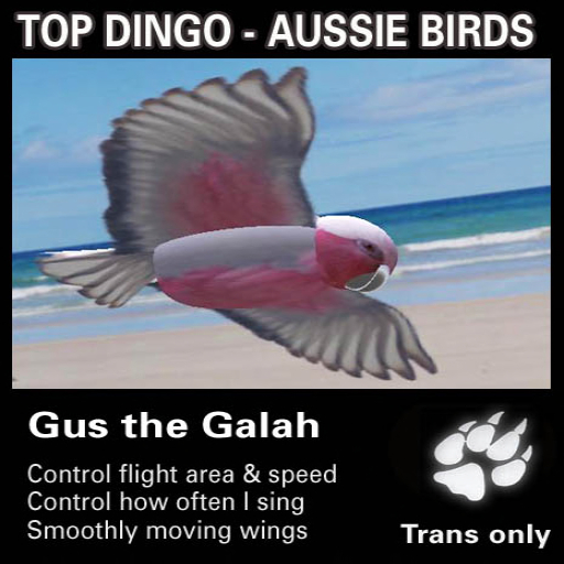 Second Life Marketplace - Flying Birds - Gus Galah