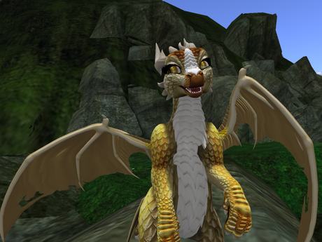 Second Life Marketplace - NM's Junk & Stuff Sandwing (Boxed)