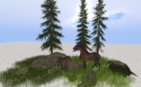 Second Life Marketplace - ANIMATED HORSES IN WOOD SCENE